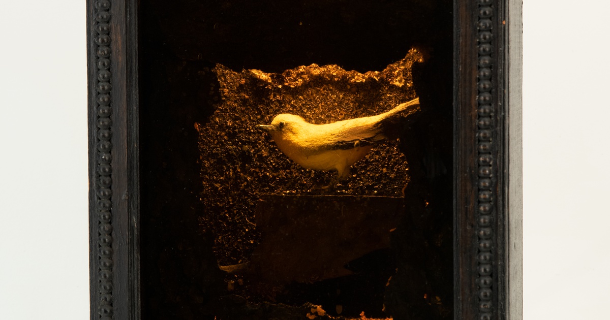 joseph cornell background